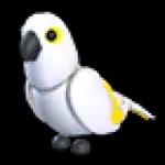 White Amazon (Pets) - Adopt Me Value List | Adoptme