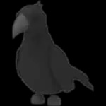 Crow (Pets) - Adopt Me Value List | Adoptme