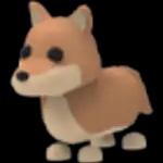 Dingo (Pets) - Adopt Me Value List | Adoptme